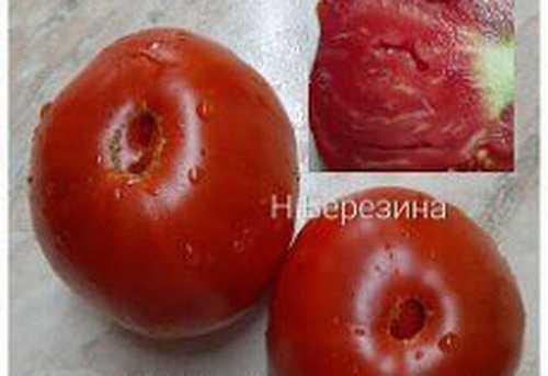 Семена томатов Алифирова В Г