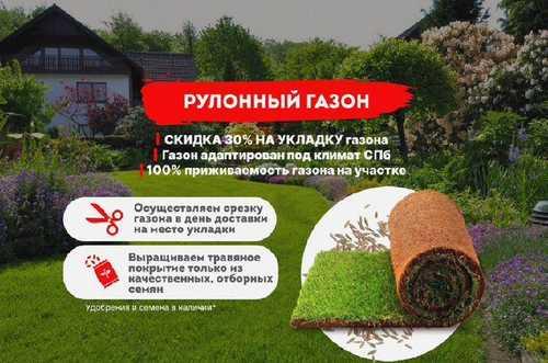 Рулонный газон Премиум