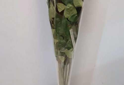 Высокие Цветы Розы 100 - 180см