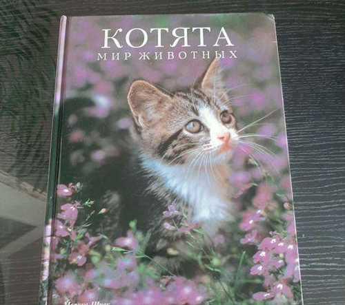 Книга Мир животных Котята