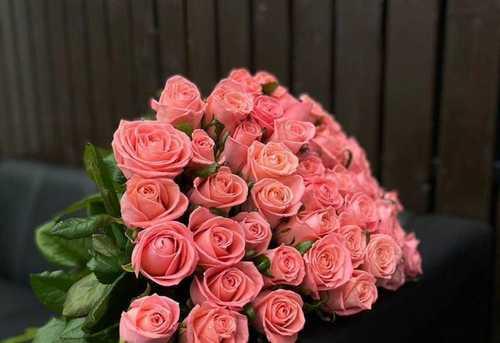 31 высокая розовая роза