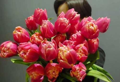 Тюльпаны оптом предзаказ к 8 марта