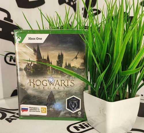Hogwarts legacy (Xbox One) New