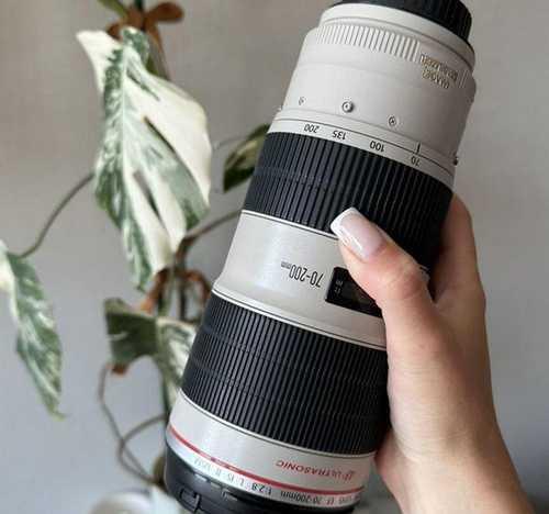 Объектив canon ef 70-200mm f 2.8 L is II