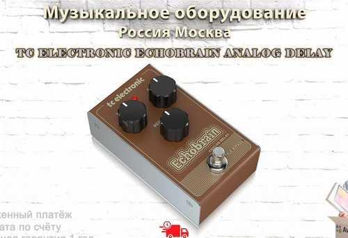 TC Electronic Echobrain Analog Delay педаль дилей