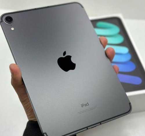 iPad mini 6