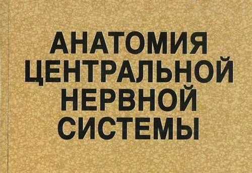 Анатомия центральной нервной системы