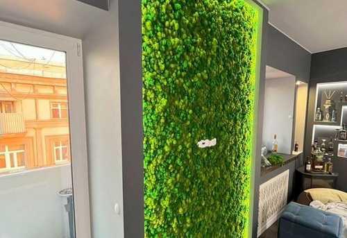 Зеленые стены со мхом