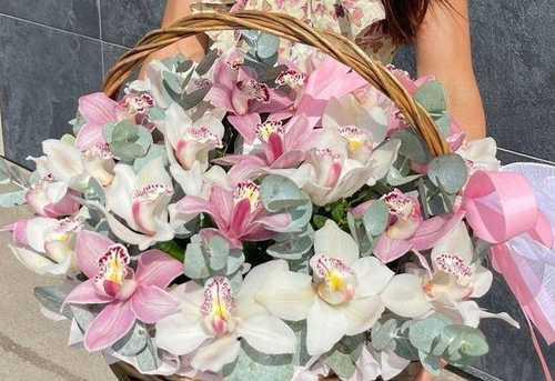 Орхидеи букет цветов,цветы букеты, доставка