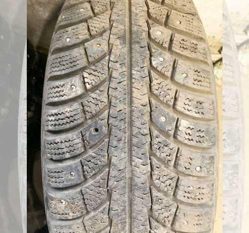 Gislaved Nord Frost 5 195/65 R15 91T