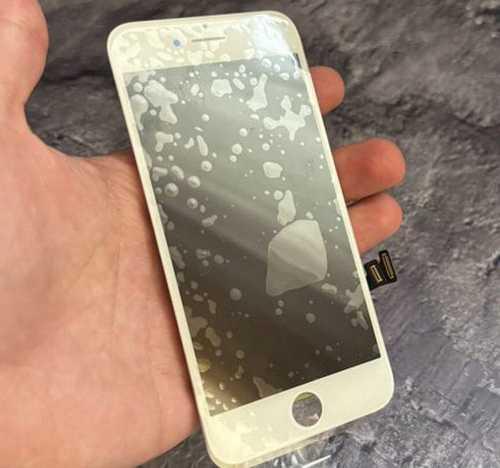 Дисплей iPhone 7 (новый)