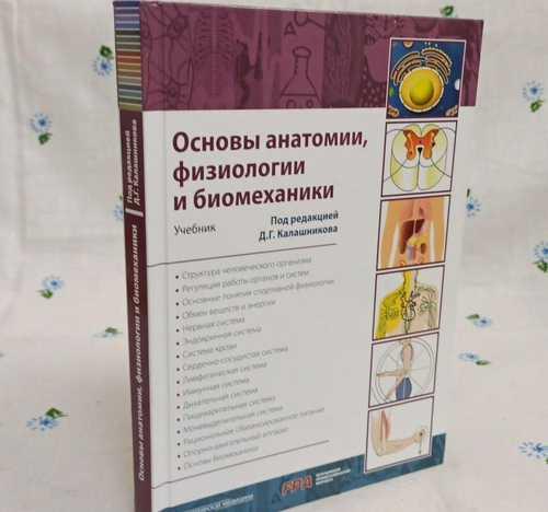 Основы анатомии, физиологии и биомеханики 2020