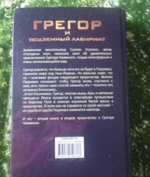 Книга "Грегор и подземный лабиринт"