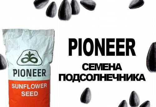 Гибриды семена подсолнечника Пионер