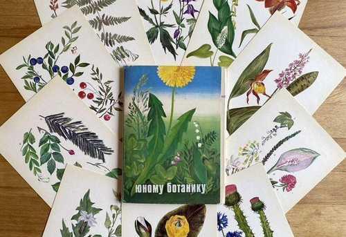 Винтажные ботанические открытки 32 штуки 1980 год