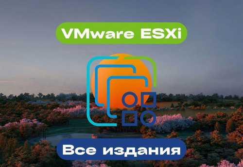 VMware ESXi 8, 7, 6, 5 Ключ официального издания