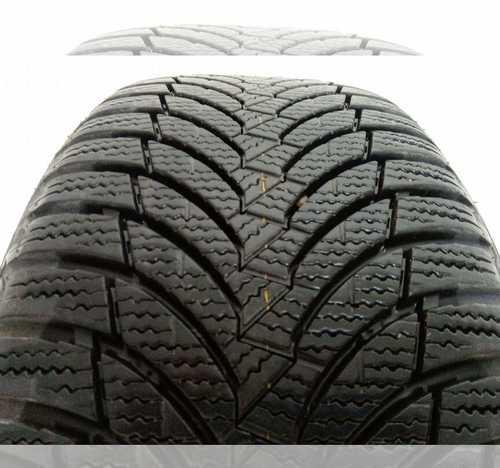 Nexen Winguard Snow G WH2 205/55 R16 91H