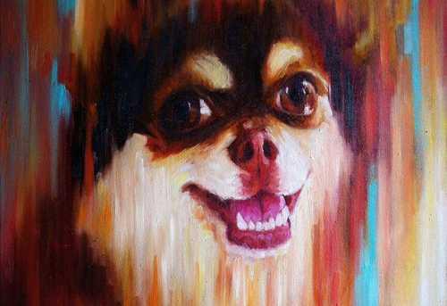 Картина с собакой породы чихуахуа собака-улыбака