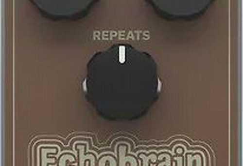 TC Electronic Echobrain Analog Delay педаль задерж