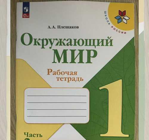 Рабочая тетрадь 1 класс окружающий мир Плешаков