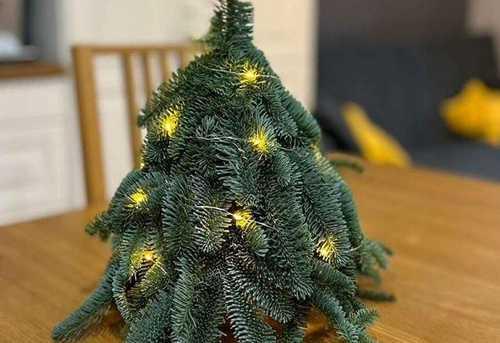 Новогодняя елка маленькая живая из нобилиса