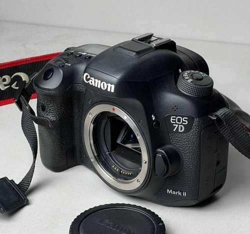 Canon EOS 7D Mark II   SD 256Gb