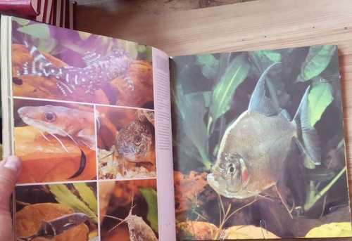 Книга по аквариумистике на немецком языке