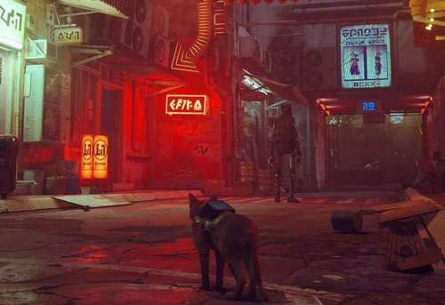 Stray PS4/Ps5 Пермь