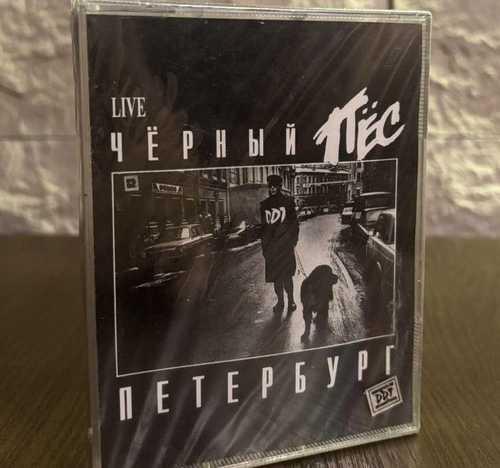 Ддт "Черный пес Петербург"