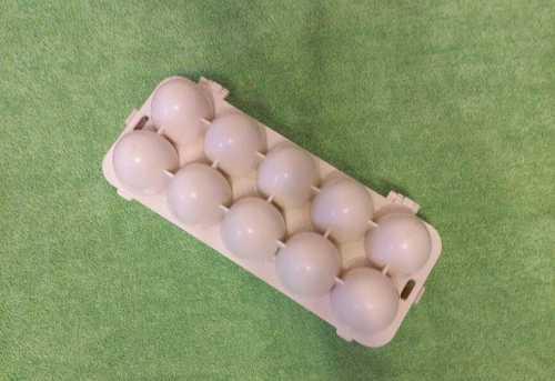 Контейнер пластиковый для яиц на 10 шт