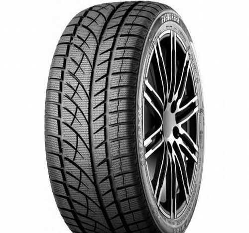 Evergreen EW66 225/55 R16 99H
