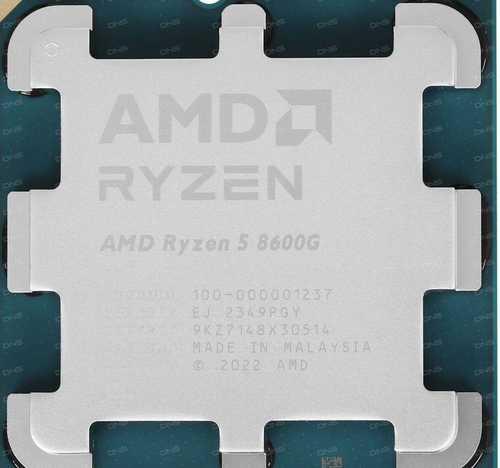 Год гарантии Ryzen 5 8600G