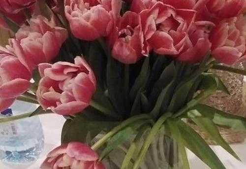 Тюльпаны Цветы Пермь