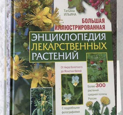 Энциклопедия лекарственных растений