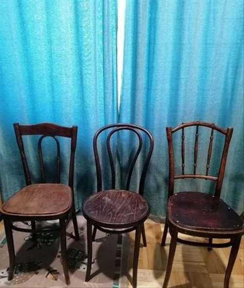 Венские стулья деревянные бу