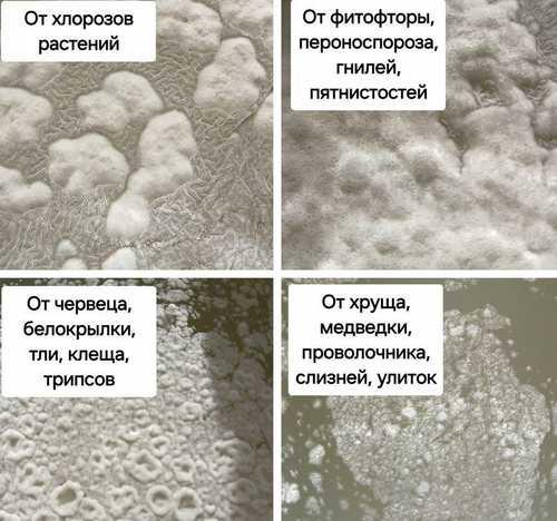 Биологические средства защиты растений