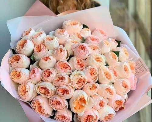 45 шт невероятно Красивых Пионовидных Садовых роз
