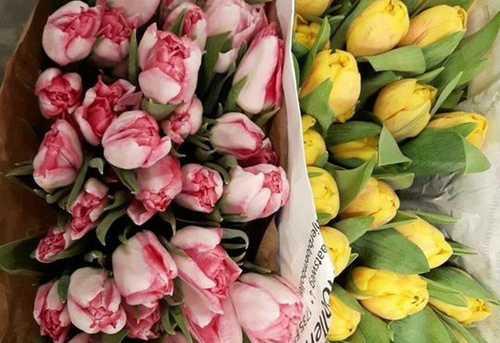 Тюльпаны в ассортименте ко дню влюбленных