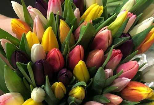 Тюльпаны к 8 марта с доставкой
