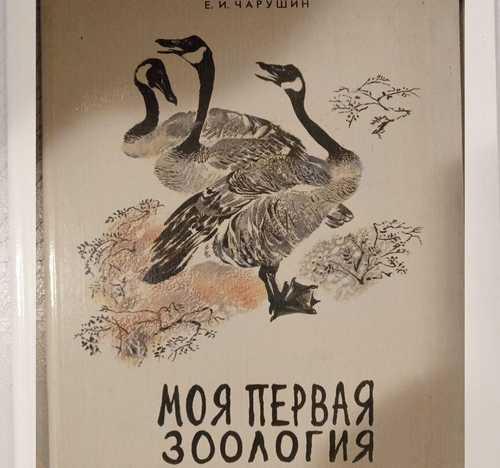 Чарушин. Моя первая зоология. 1984 год