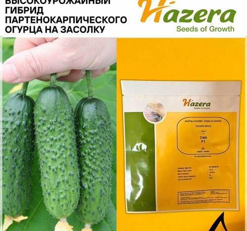 Спайк 250 штук семена огурца корнишона Hazera