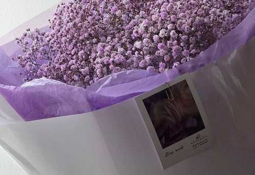Доставка цветов Чистополь самая стойкая Гипсофила