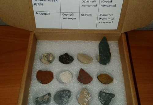 Коллекция минералов и горных пород + Меловой образ