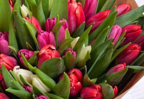 Цветы букет из тюльпанов микс