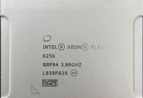 Процессор intel xeon platinum 8256