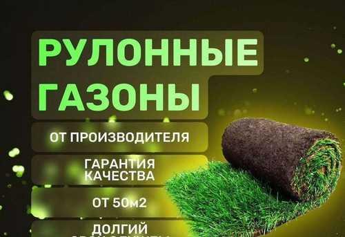Рулонный газон. От производителя