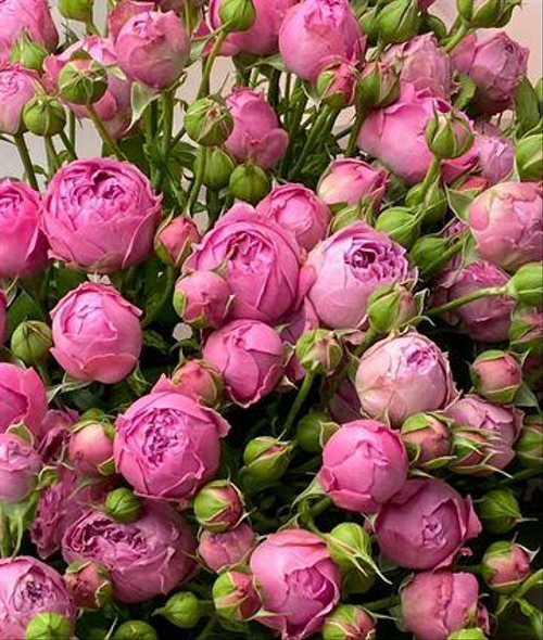 Пионовидные розы премиум доставка цветы букет