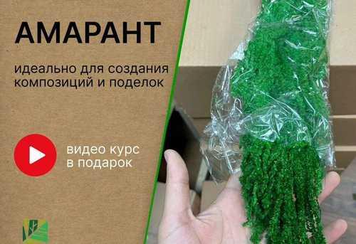 Стабилизированные растения Амарант арт. 97351018