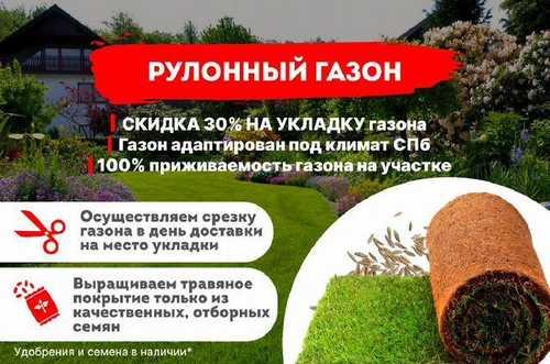 Рулонный газон Стандарт для участка