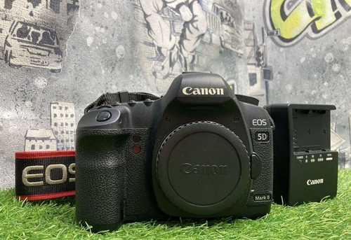Canon 5D Mark II 33.500 кадров